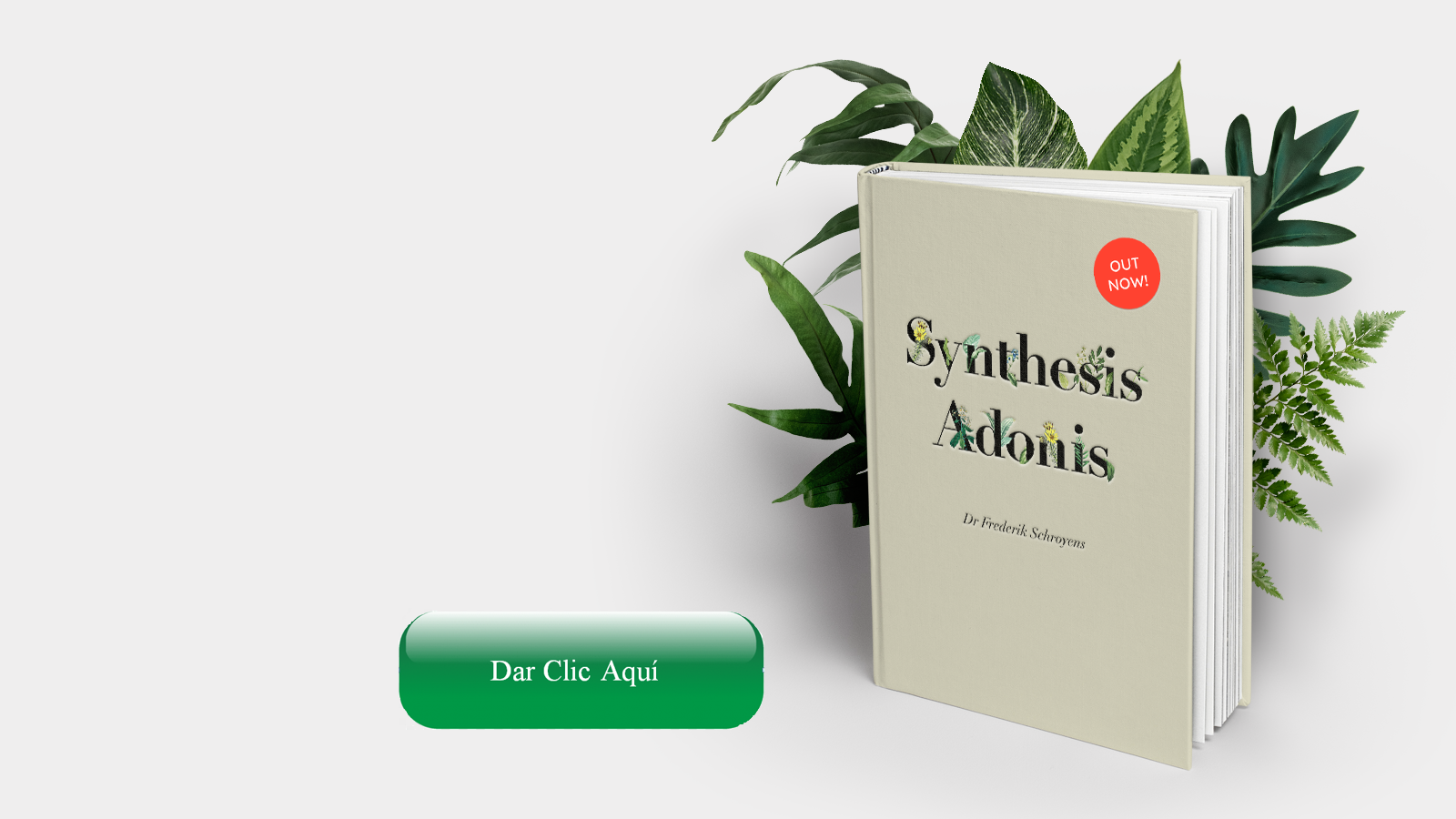 2-Adonisa – Radar Opus