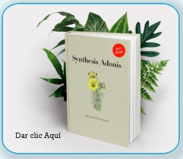 Adonisa – Radar Opus